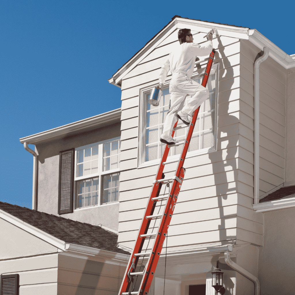 House Painters Wellington | Sunshine Painting Limited